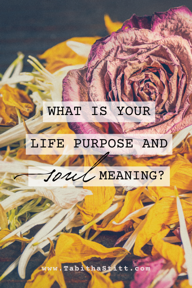 What is Your Life Purpose and Soul Meaning? by Tabitha Stitt