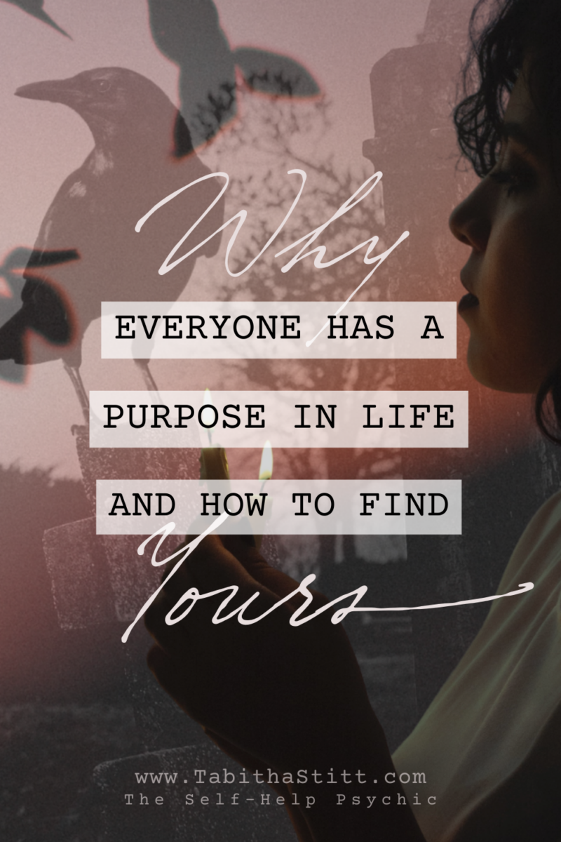 Why Everyone Has Purpose in Life and How to Find Yours! - Tabitha Stitt ...